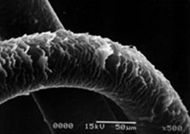 髪わざエンジェル│IB Castle